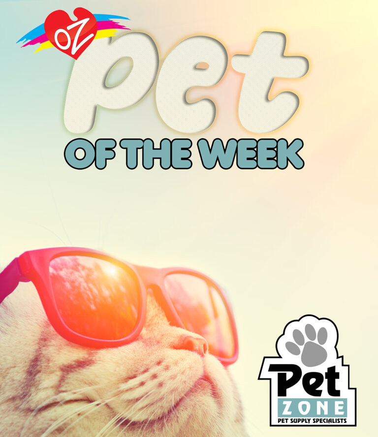 OZFM – The Rock of the Rock